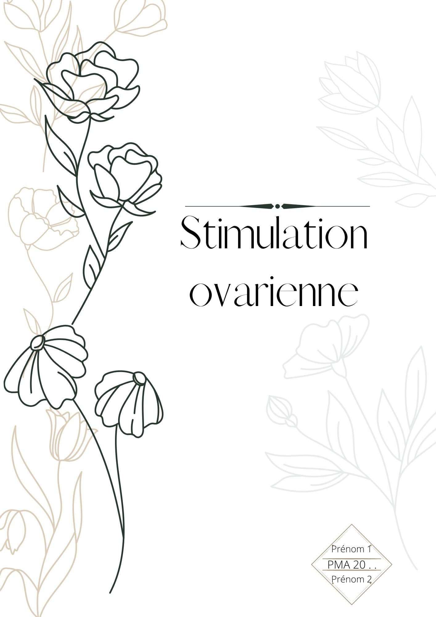 PMA IVF/IAC Pathway Cards - Etsy