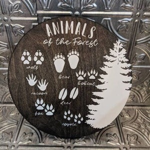 Round Animal Tracks of the Forest/animal Tracks Nursery/ Woodland ...
