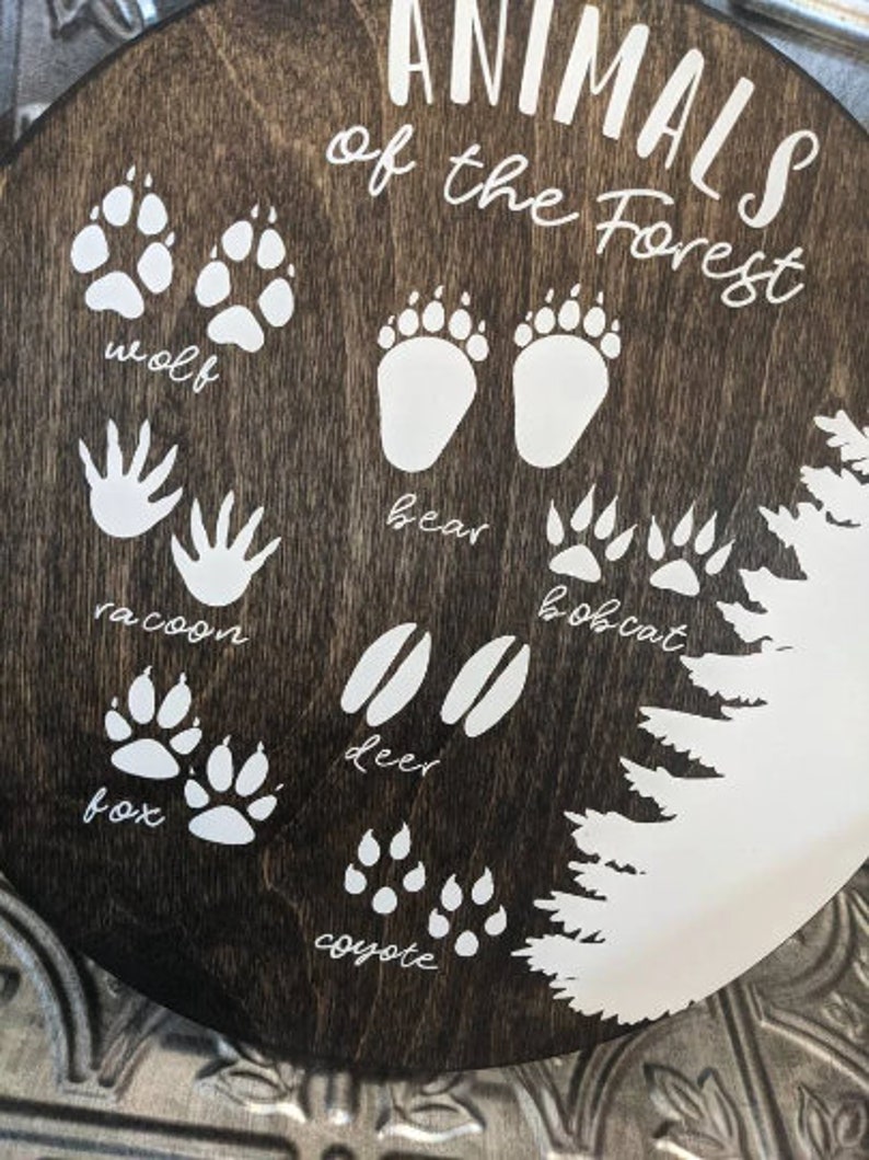 Round Animal Tracks of the Forest/animal Tracks Nursery/ Woodland ...