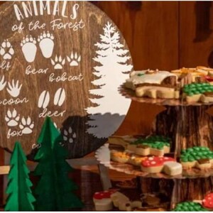 Round Animal Tracks of the Forest/animal Tracks Nursery/ Woodland ...
