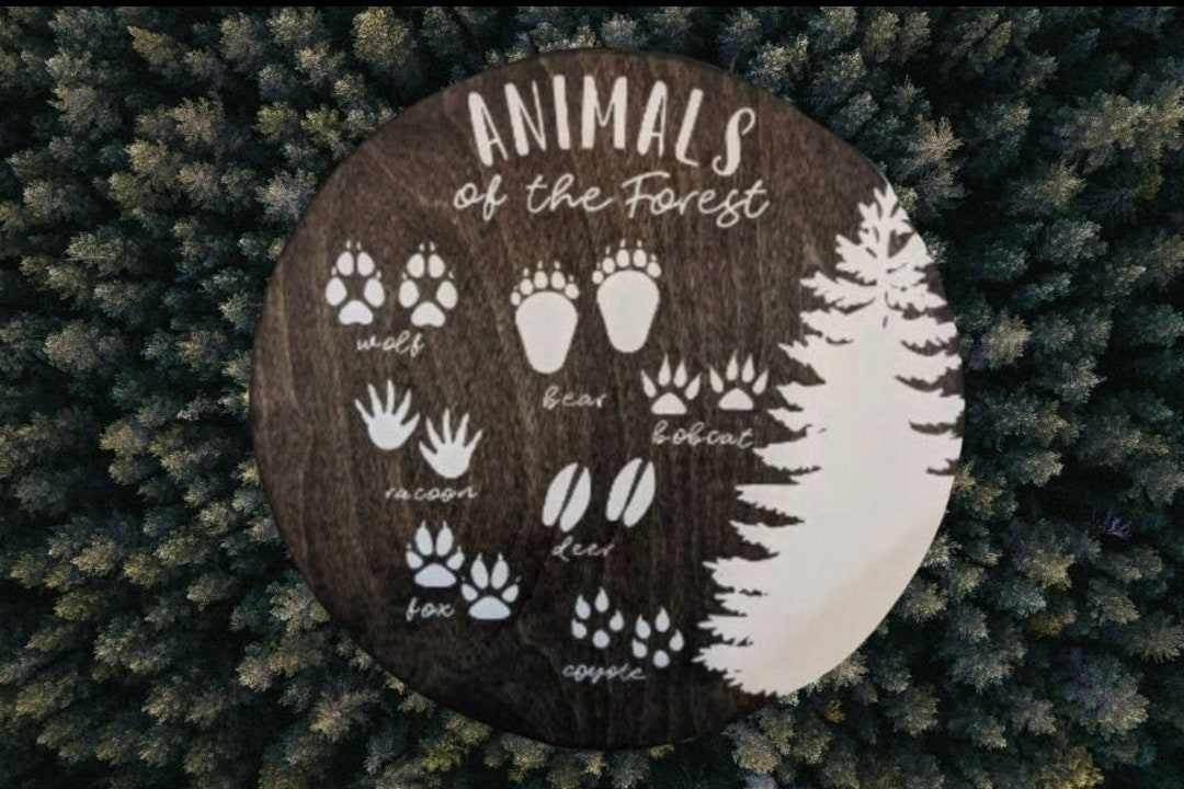 Round Animal Tracks of the Forest/animal Tracks Nursery/ Woodland ...