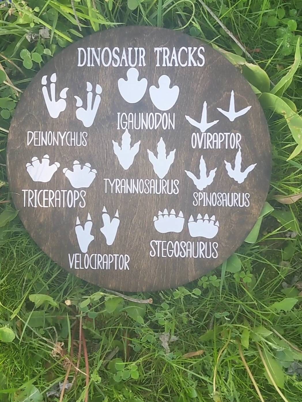 Dinosaur Tracks/ Dinosaur Tracks Sign /dino Decor/ Dinosaur Nursery ...