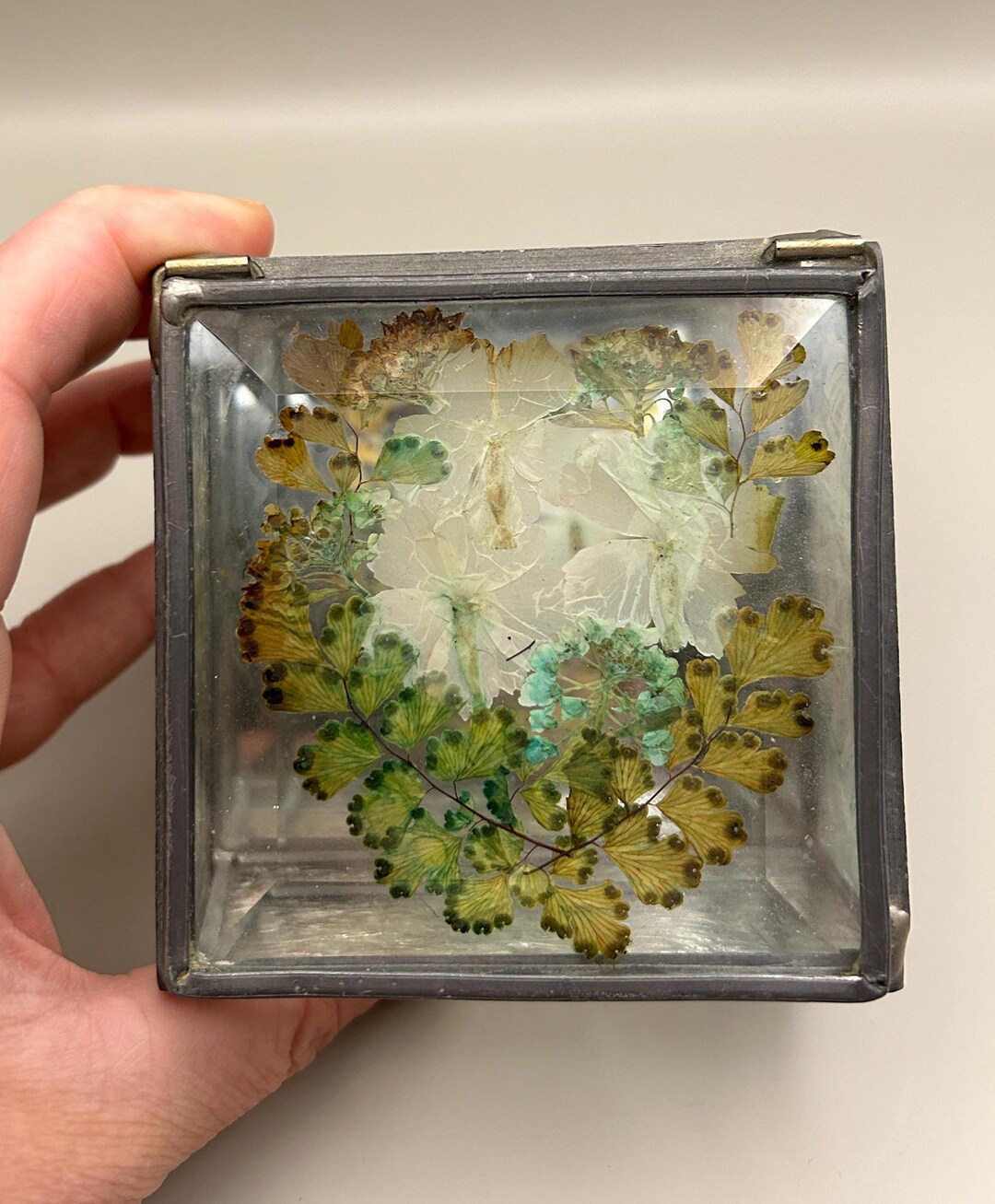 Mirrored Trinket Box With Dried Flowers in the Hinged Lid - Etsy