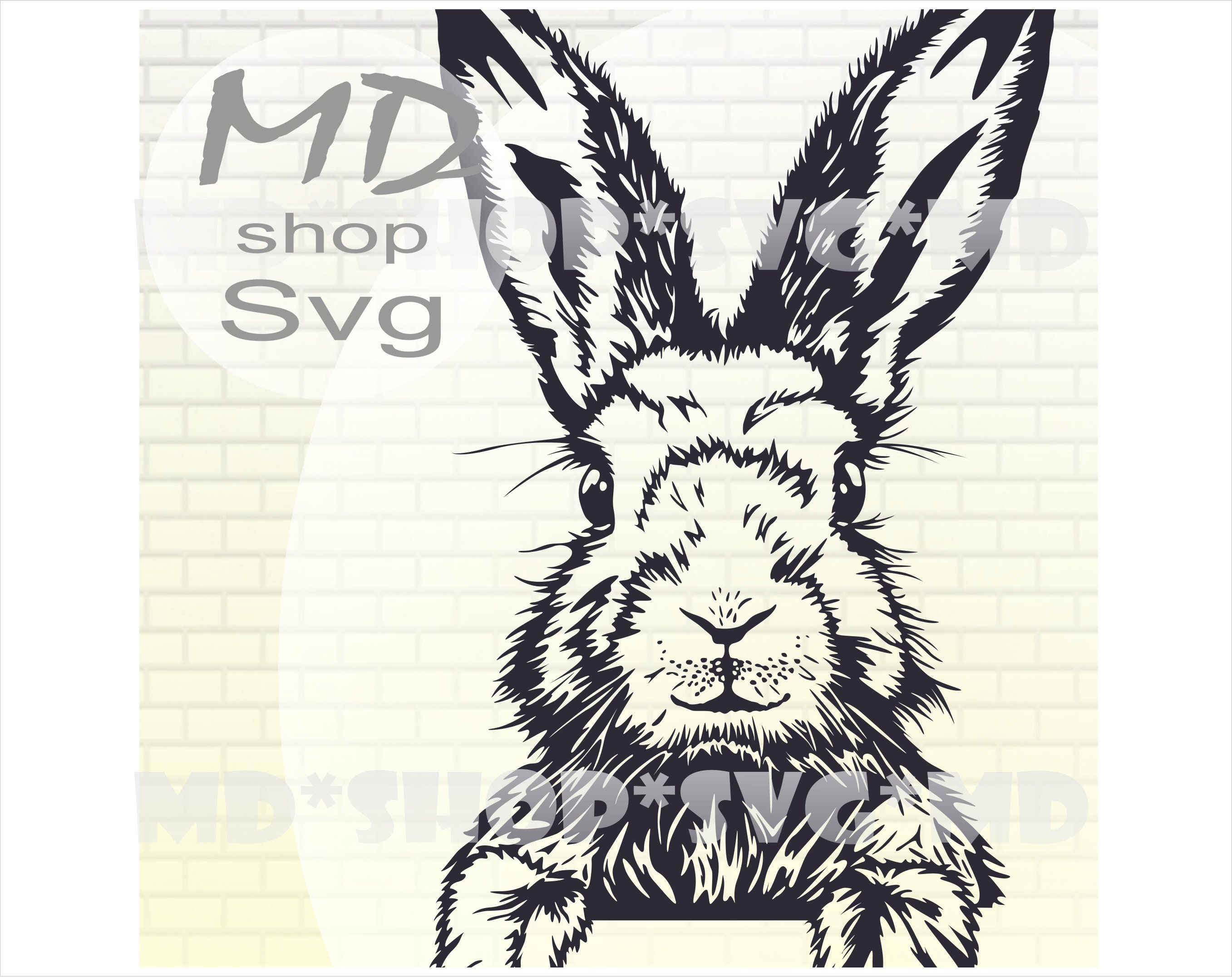 Bunnies SVG for Cricut, Rabbits Male and Female Silhouette DXF, T-shirt ...