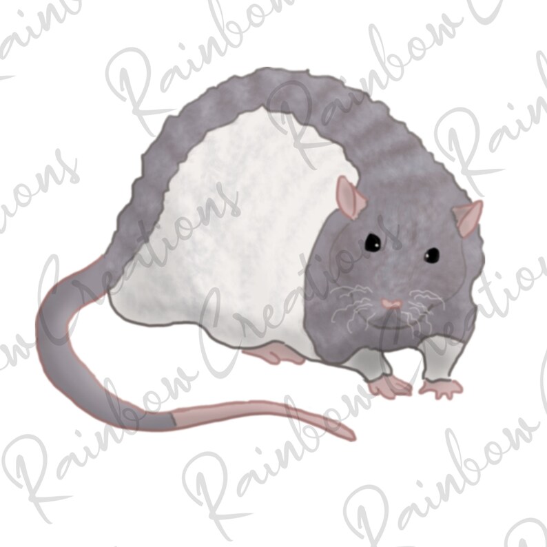 Clipart Fancy Rat, Realistic Rat Clip Art, Stickers Diy Digital ...
