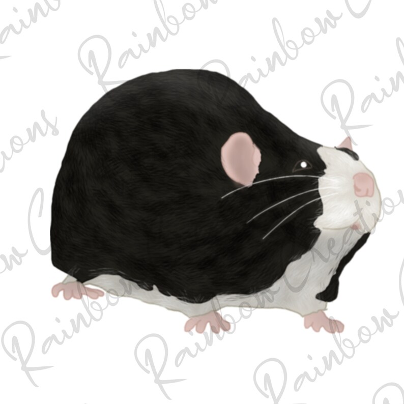 Clipart Fancy Rat, Realistic Rat Clip Art, Stickers Diy Digital ...
