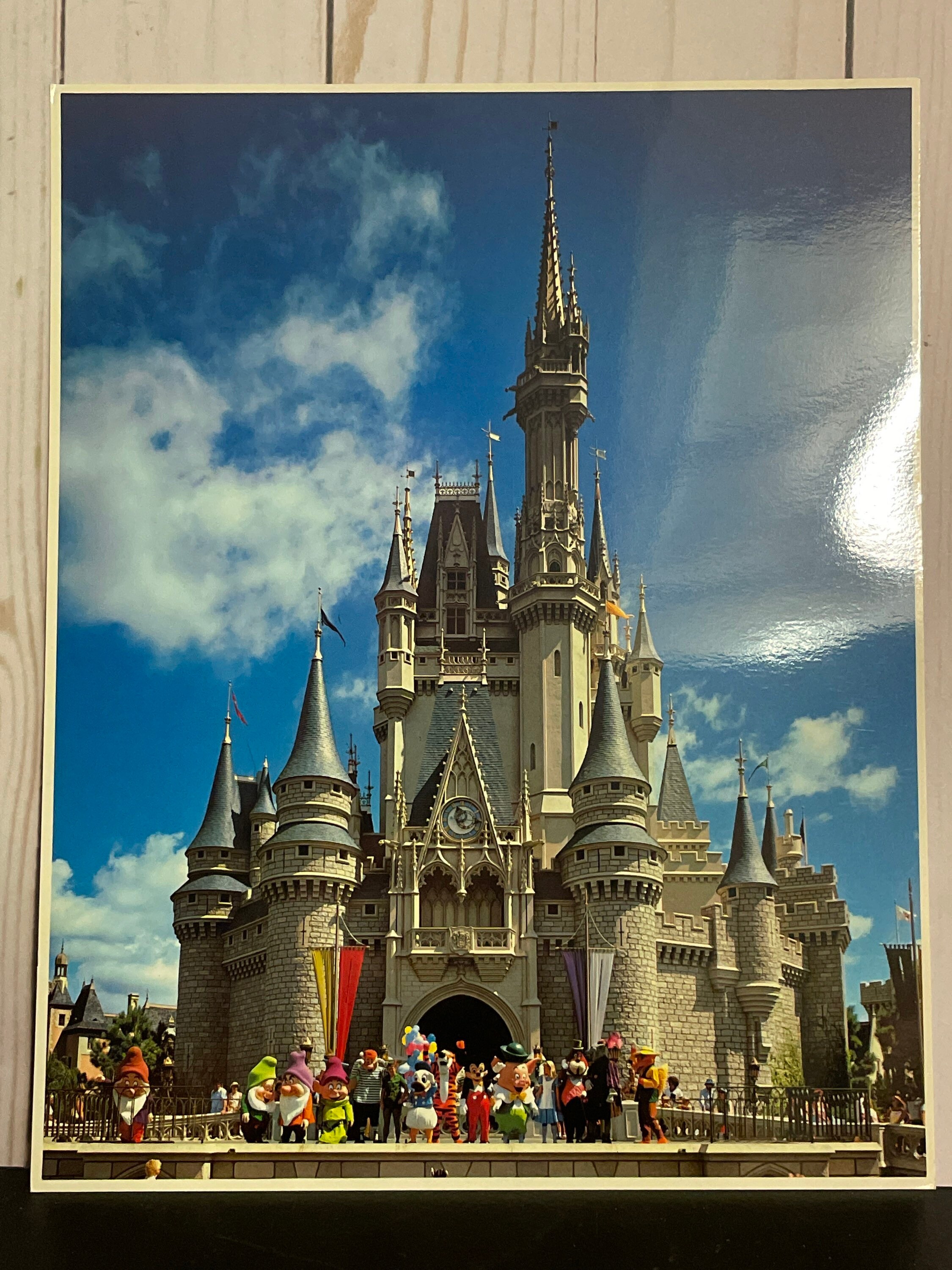Vintage Disney Castle