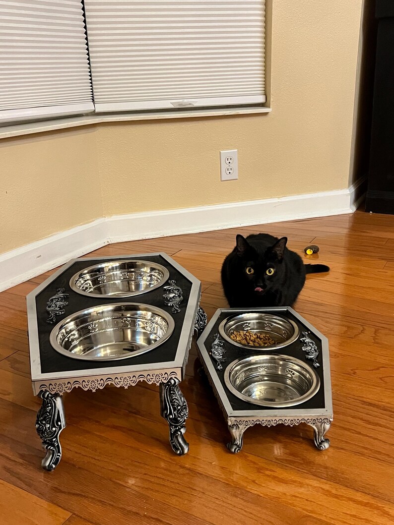 Large Coffin Shape Gothic Style Pet Feeder With Silver Filigree (bowls ...