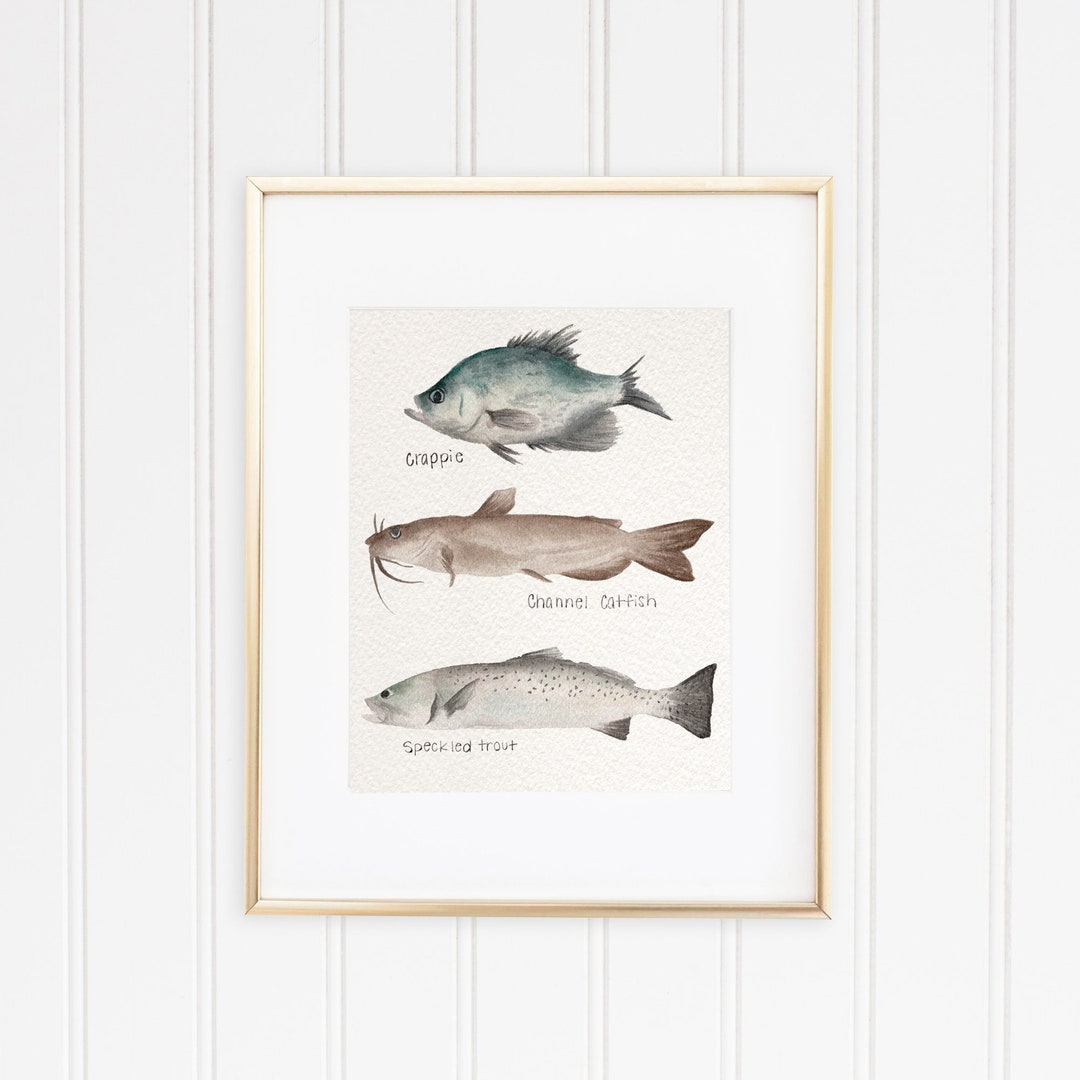Fish Watercolor Print | Watercolor Fish Painting | Fish Décor | Fish ...