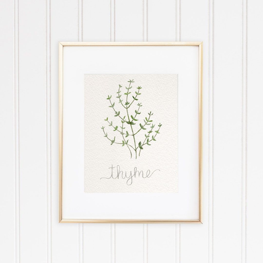 Thyme Watercolor Print | Watercolor Herb Painting | Kitchen Décor ...