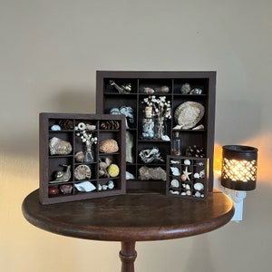 Shelf Curiosity Cabinet Printer Tray Letterbox Display, Rock Display ...