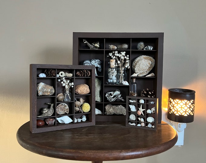 Shelf Curiosity Cabinet Printer Tray Letterbox Display, Rock Display ...