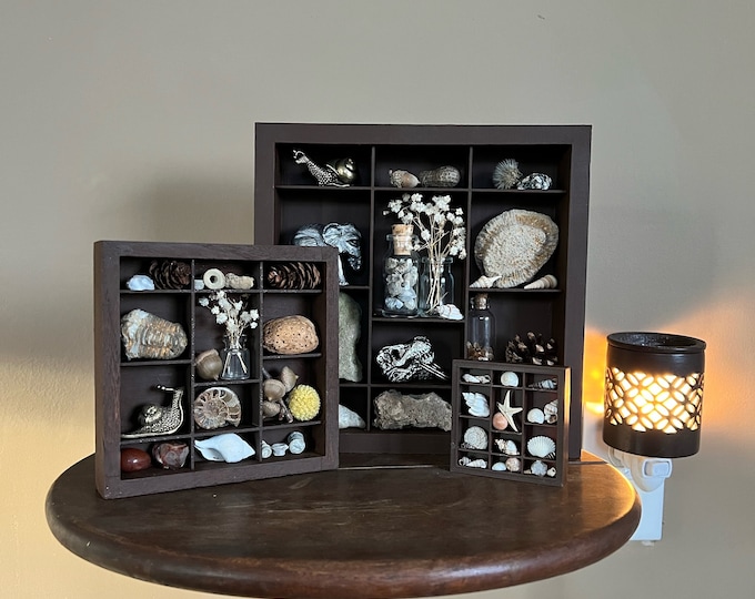 Wooden Curiosity Cabinet Printer Tray Letterbox Display, Rock Display ...