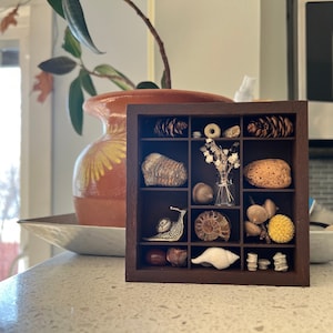 Wooden Curiosity Cabinet Printer Tray Letterbox Display, Rock Display ...
