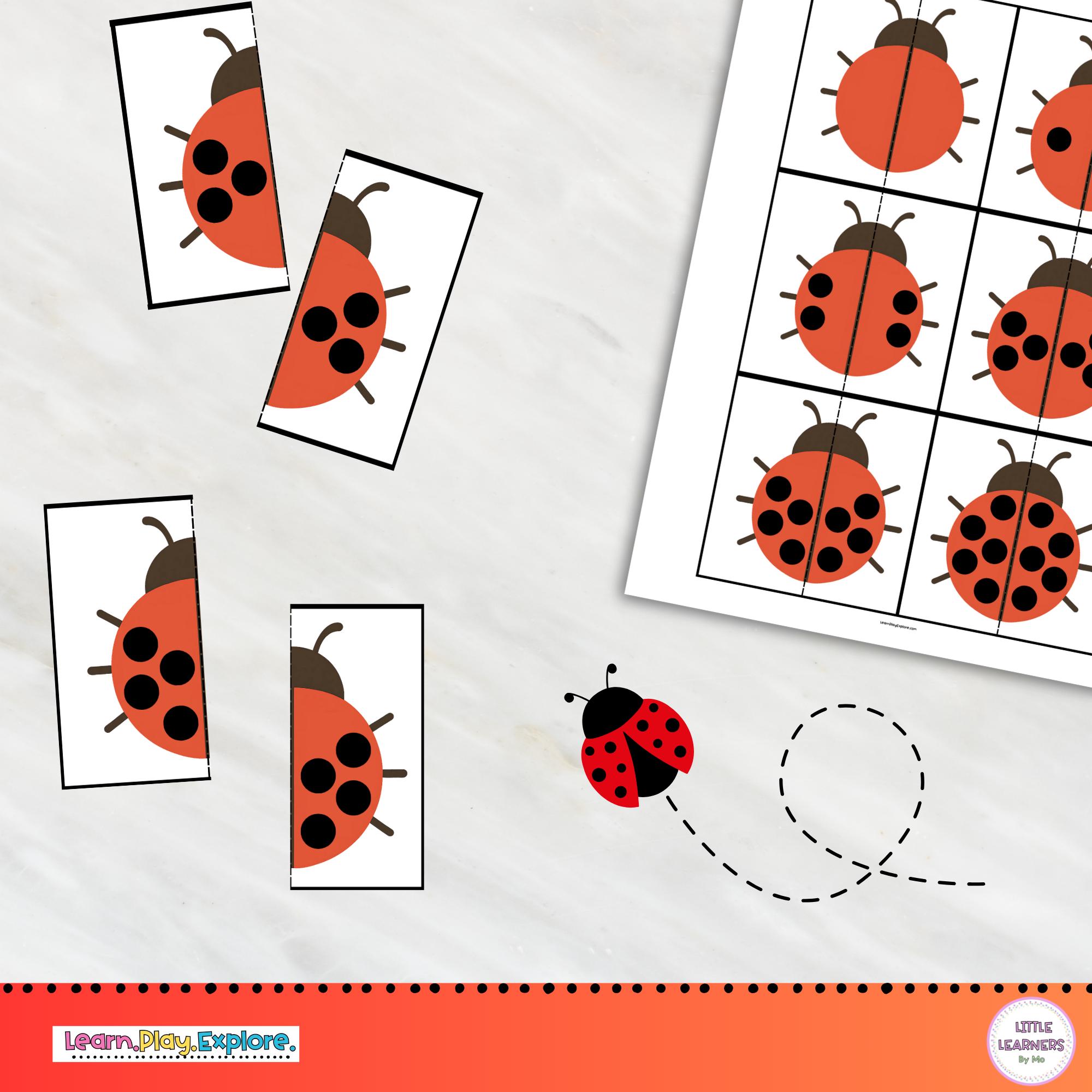 Ladybug Counting Pack | 0–10 Number Activities for Toddlers & Preschool ...