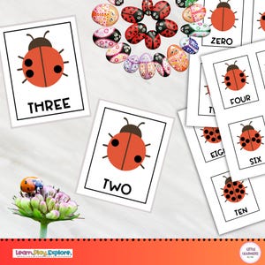Ladybug Counting Pack | 0–10 Number Activities for Toddlers & Preschool ...