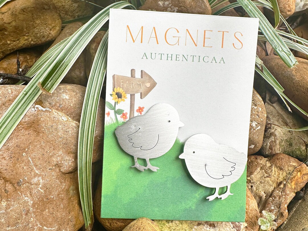 Chicks Magnet - Stainless Steel - Farm Theme- Illustrated Card - Made ...