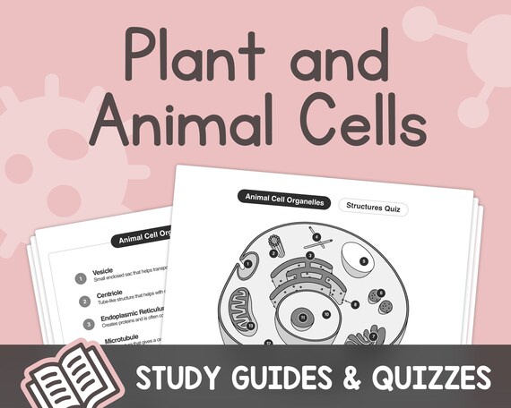 Animal and Plant Cells organelle Structures and Functions - Etsy