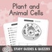 Animal and Plant Cells – organelle Structures and Functions Study ...