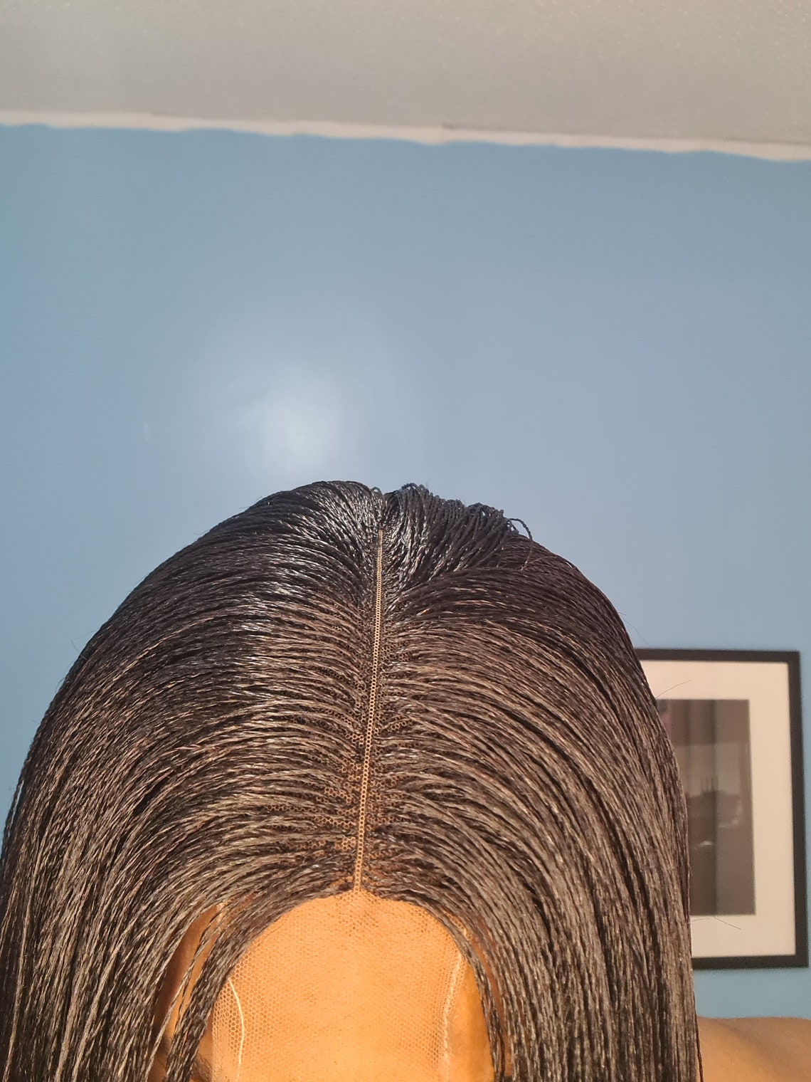 Braided Lace Wig, 2x4 Closure Braided Wig, Super Skinny Twist, Lace ...