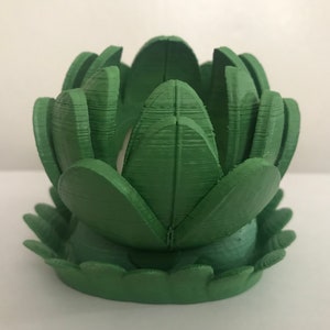 3D Printed & Hand-painted Bulbasaur Flower Planter W/ Leaf Drain Plate ...