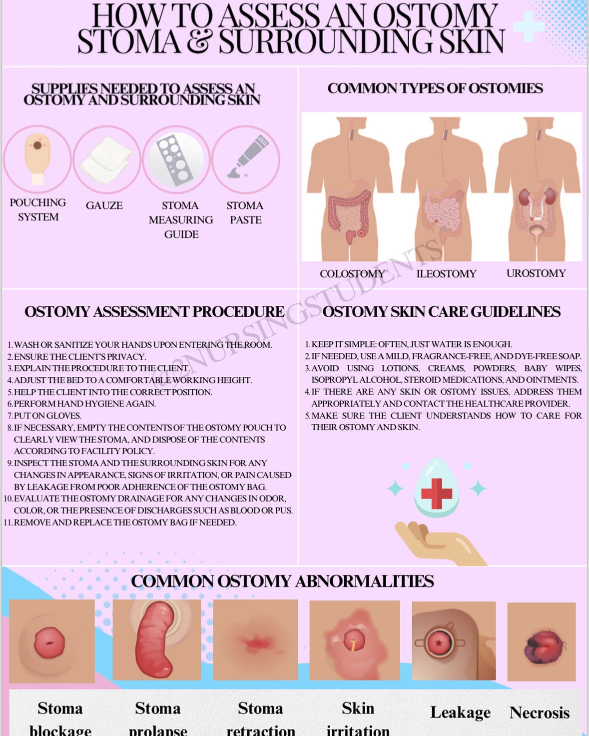Ostomy Stoma Assessment - Etsy