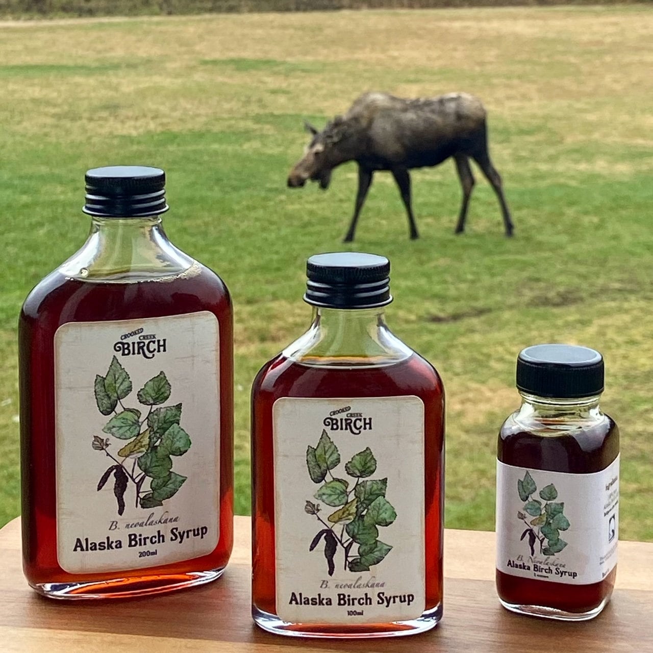 Alaska Birch Syrup - Etsy