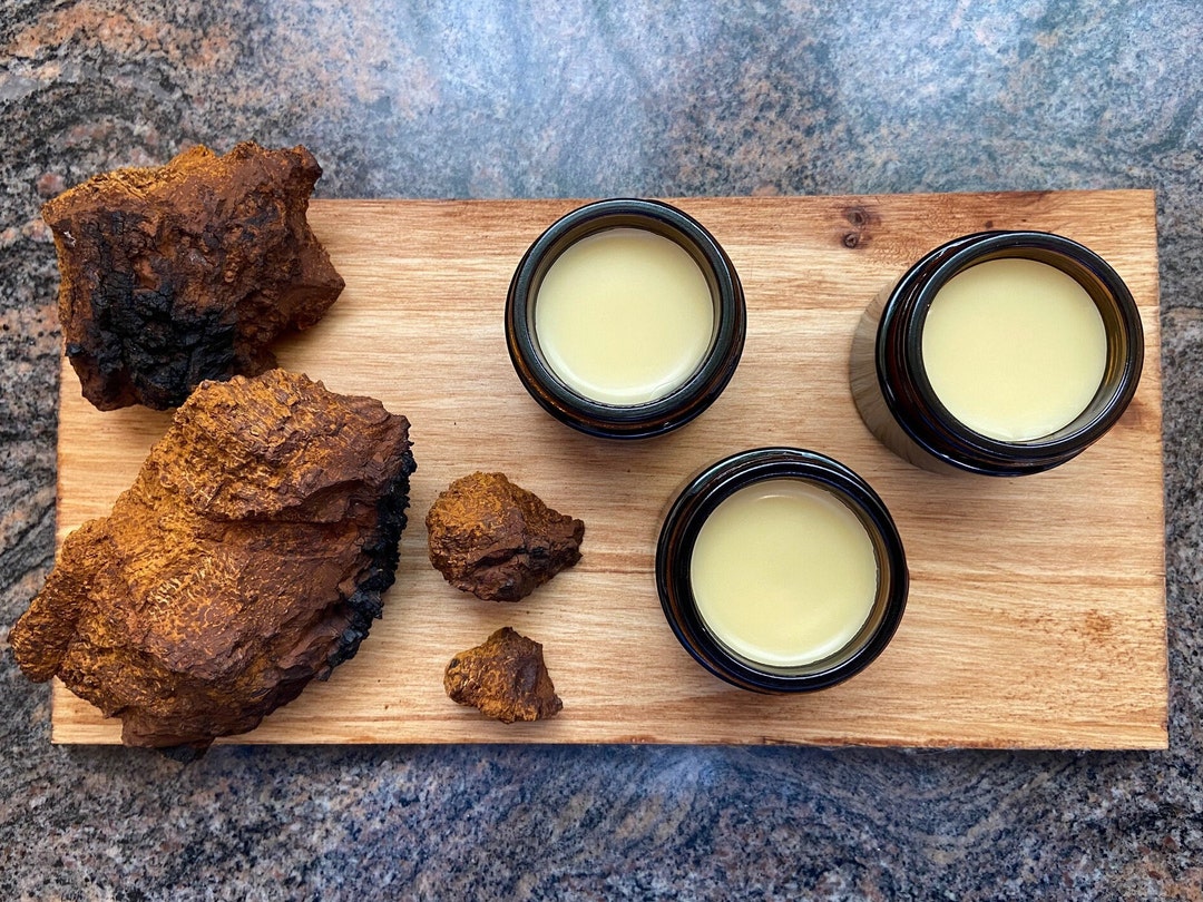 Wild Alaskan Chaga Salve Chaga Alaska Handmade - Etsy