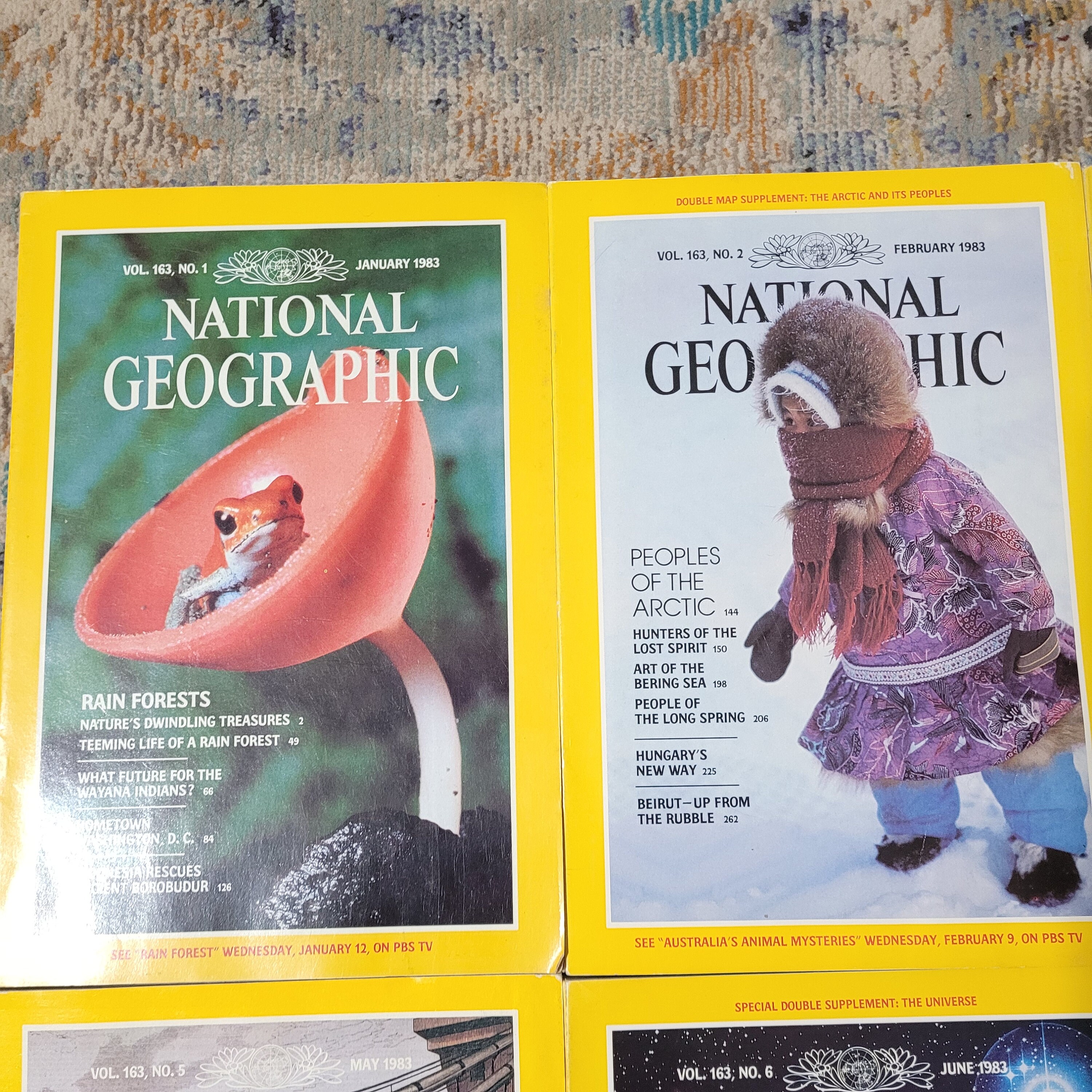 1983 National Geographic Magazine Collection Full Year 1980's Vintage Nat Geo Magazines ...