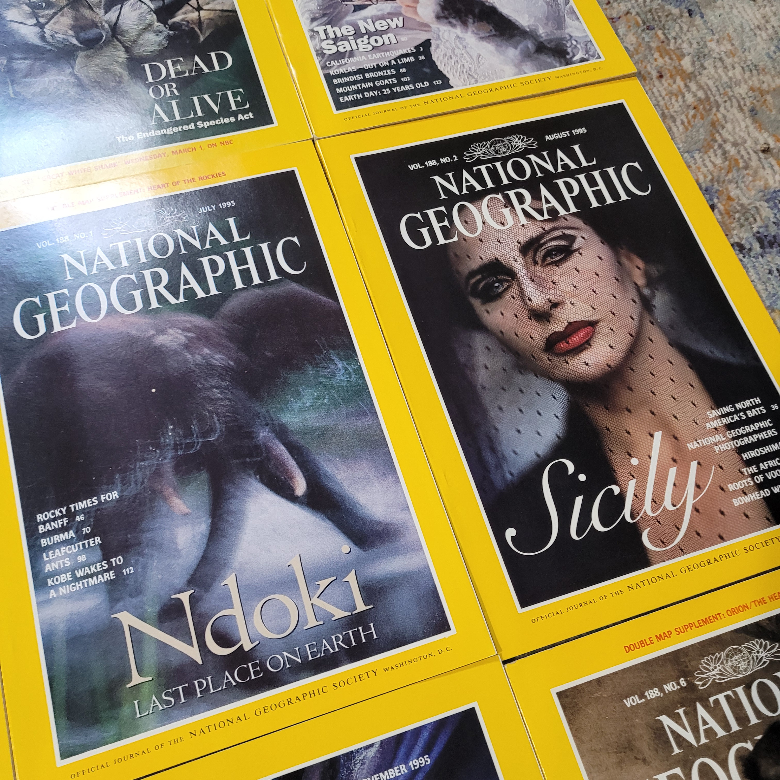 1995 National Geographic Magazine Collection Full Year 1990's Vintage ...