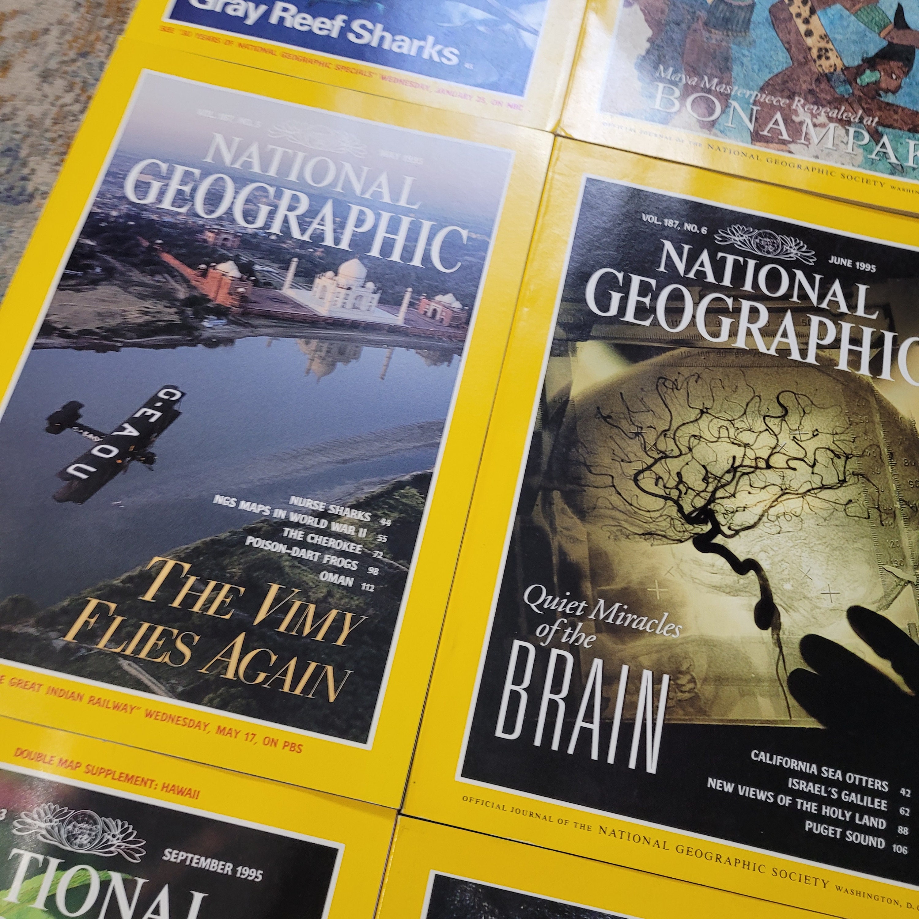 1995 National Geographic Magazine Collection Full Year 1990's Vintage ...