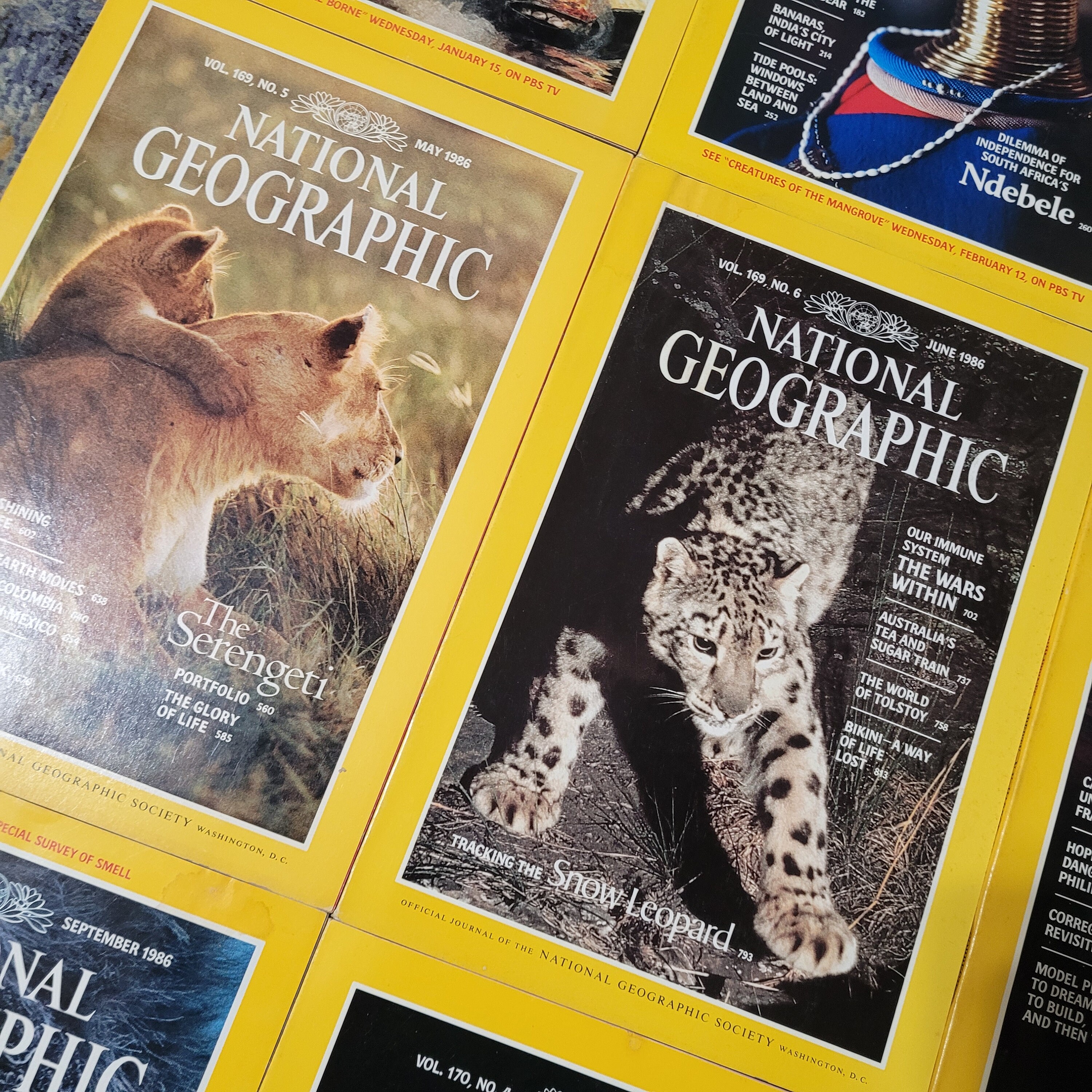 1986 National Geographic Magazine Collection Vintage Nat Geo Magazines ...