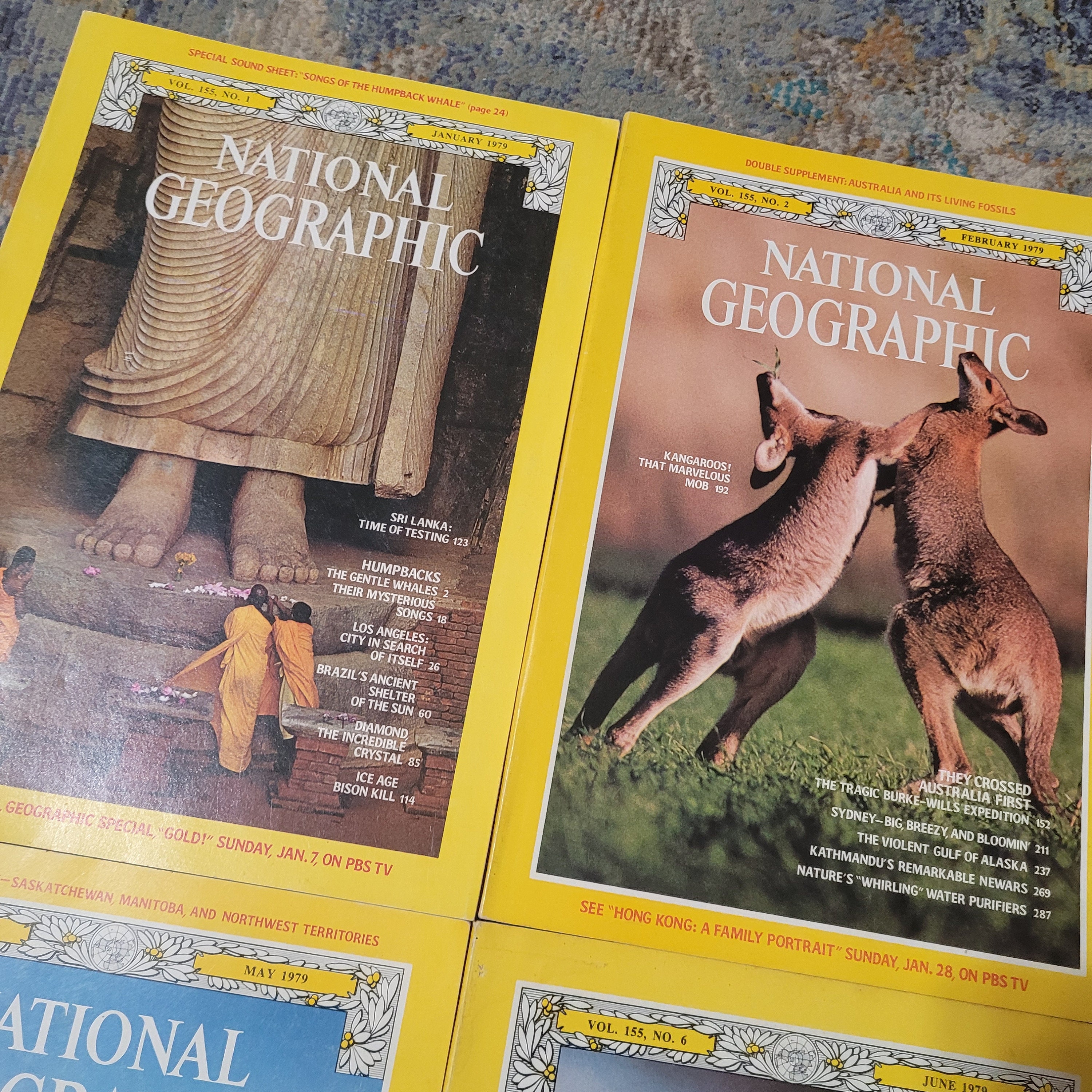 1979 National Geographic Magazine Collection, Full Year Lot of 12 Vintage Nat Geo Magazines From ...