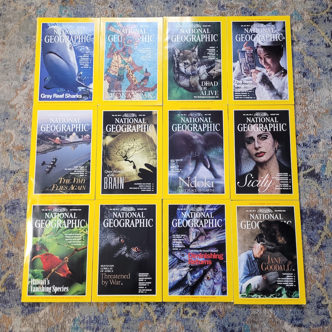1995 National Geographic Magazine Collection Full Year 1990's Vintage ...