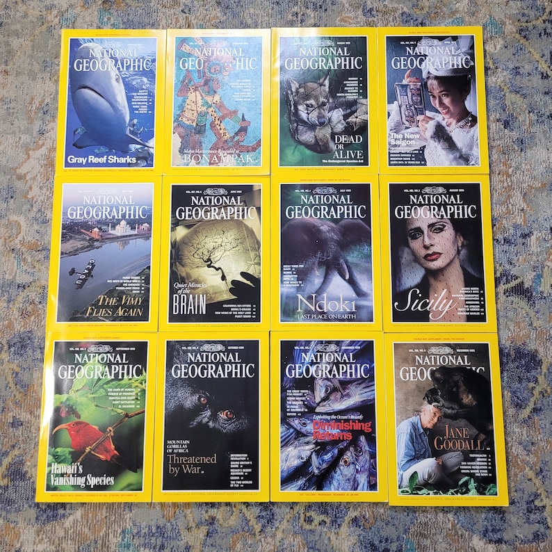 1995 National Geographic Magazine Collection Full Year 1990's Vintage ...