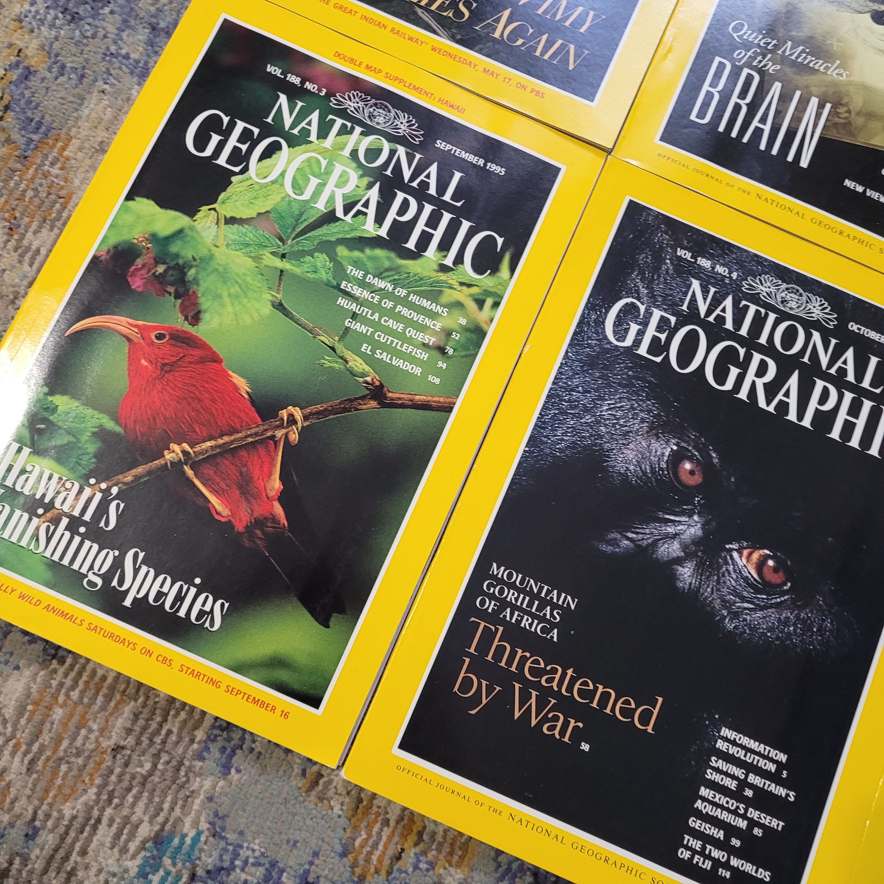1995 National Geographic Magazine Collection Full Year 1990's Vintage ...