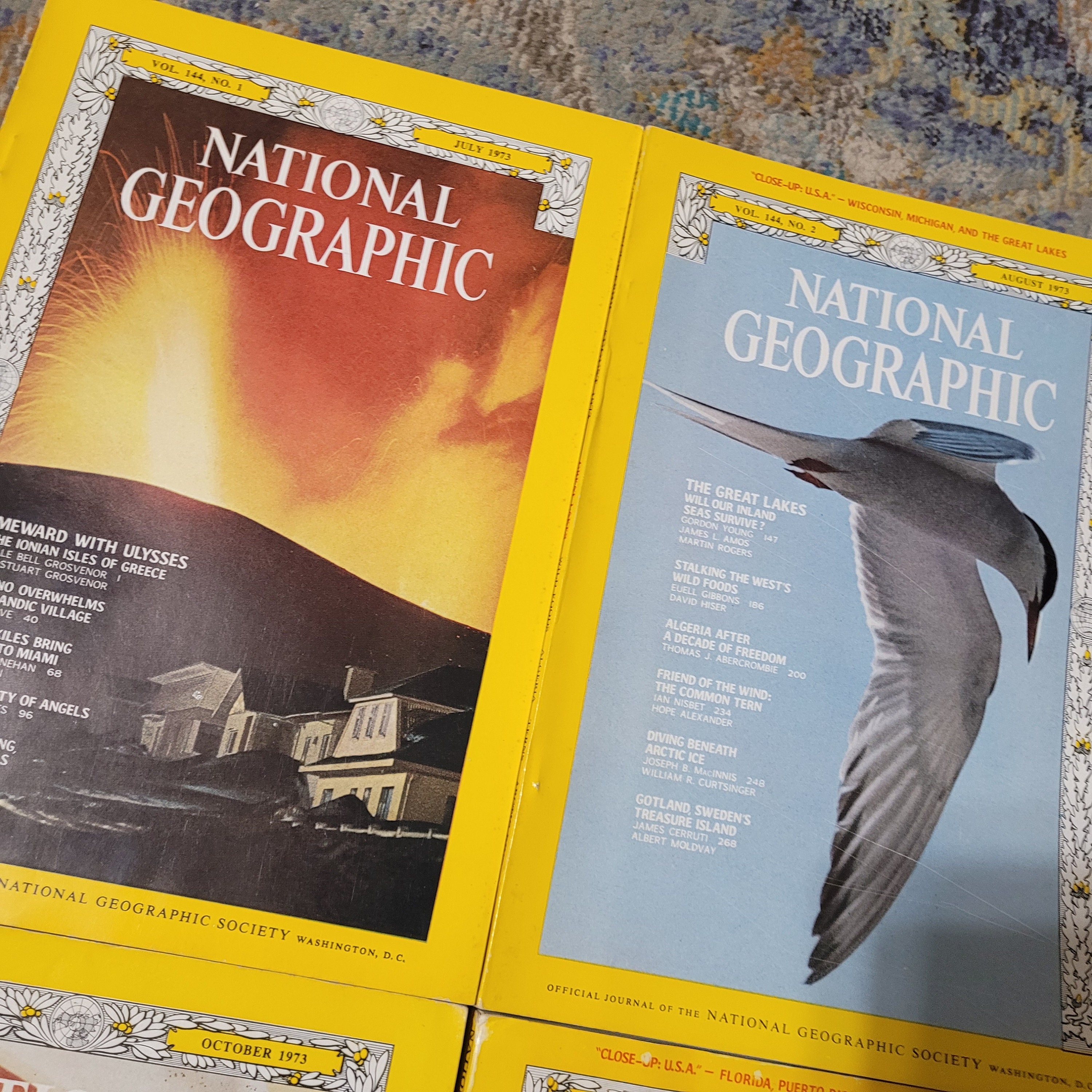 1973 National Geographic Magazine Collection, Lot of 6, July Through ...