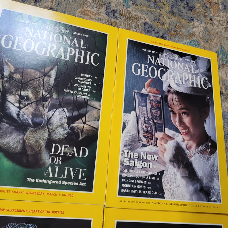 1995 National Geographic Magazine Collection Full Year 1990's Vintage ...