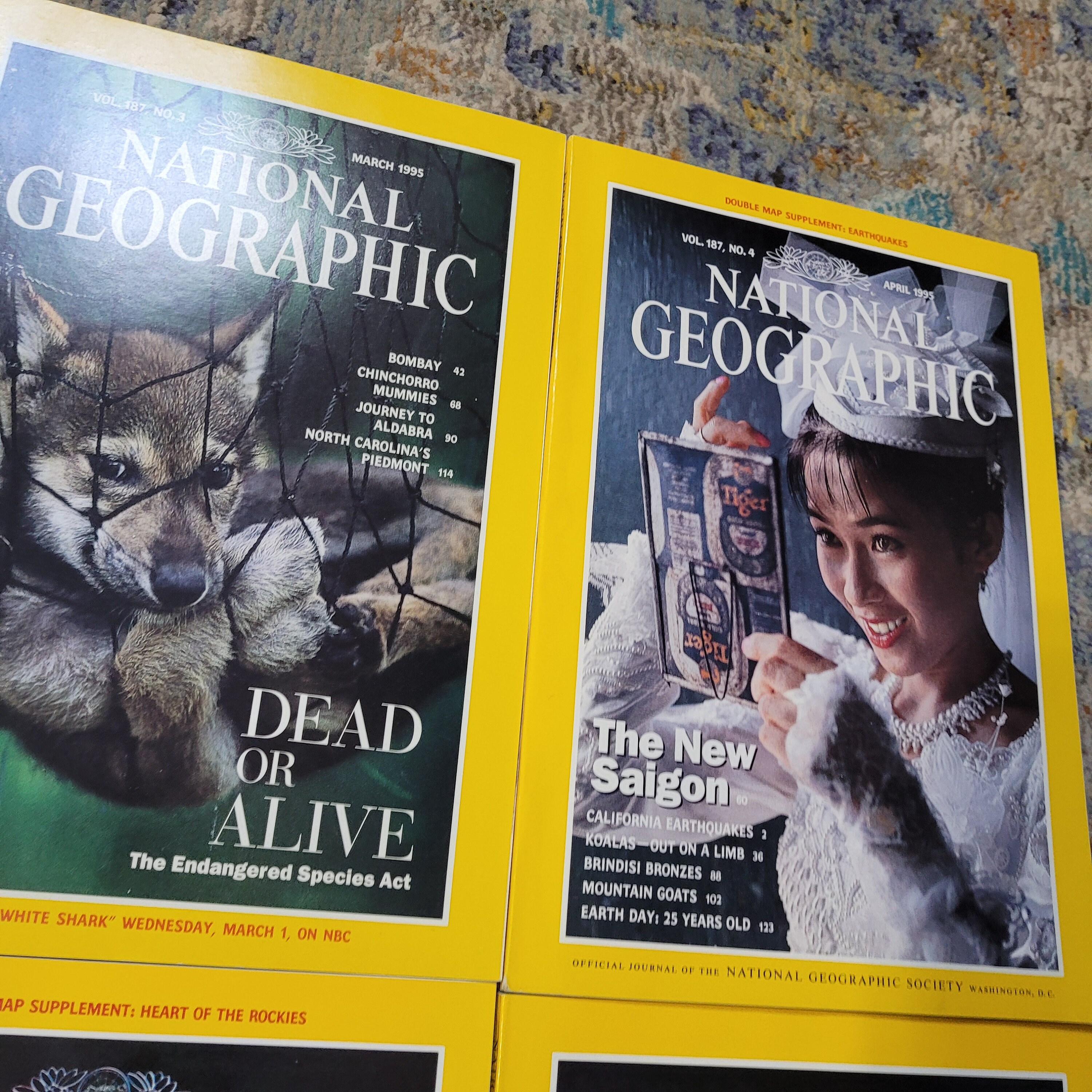 1995 National Geographic Magazine Collection Full Year 1990's Vintage ...