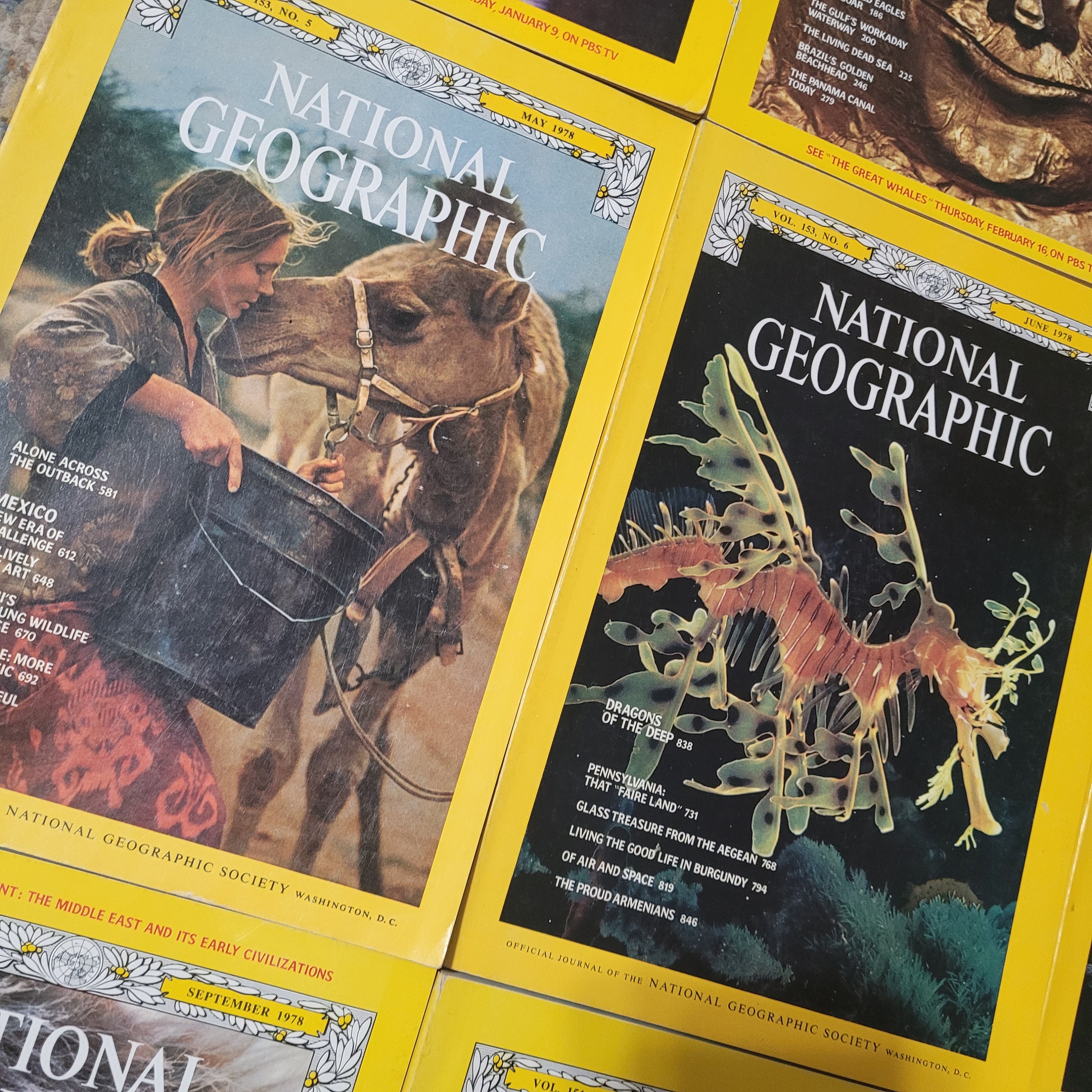 1978 National Geographic Magazine Collection, Complete Year Set of 12 Vintage Nat Geo Magazines ...