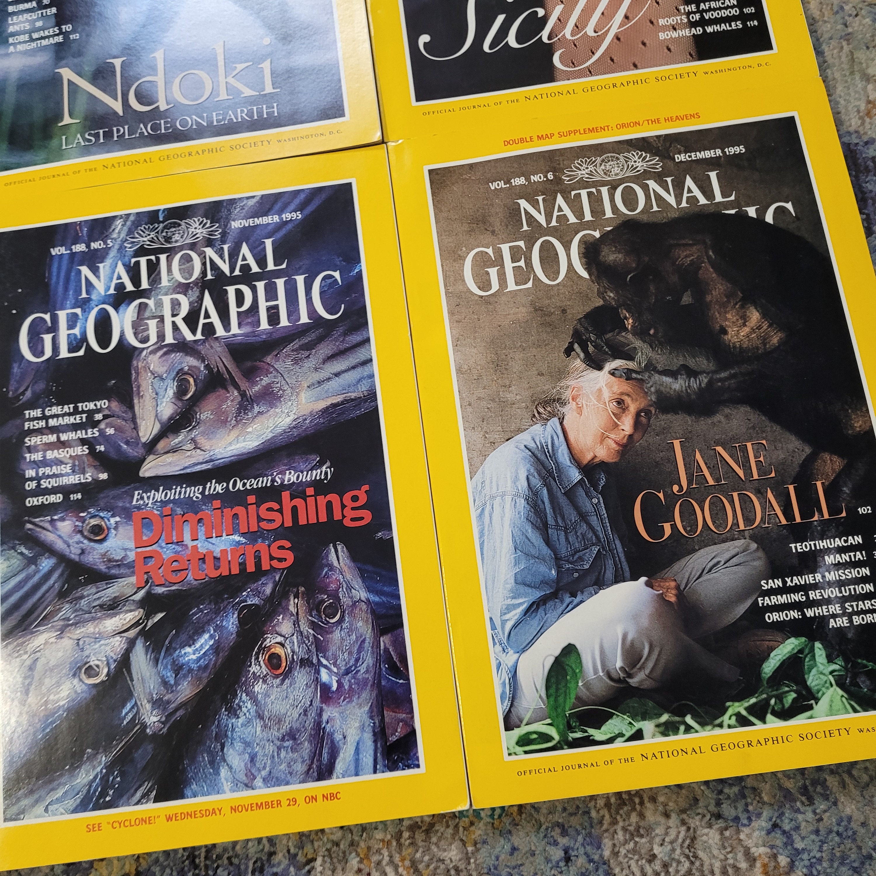 1995 National Geographic Magazine Collection Full Year 1990's Vintage ...
