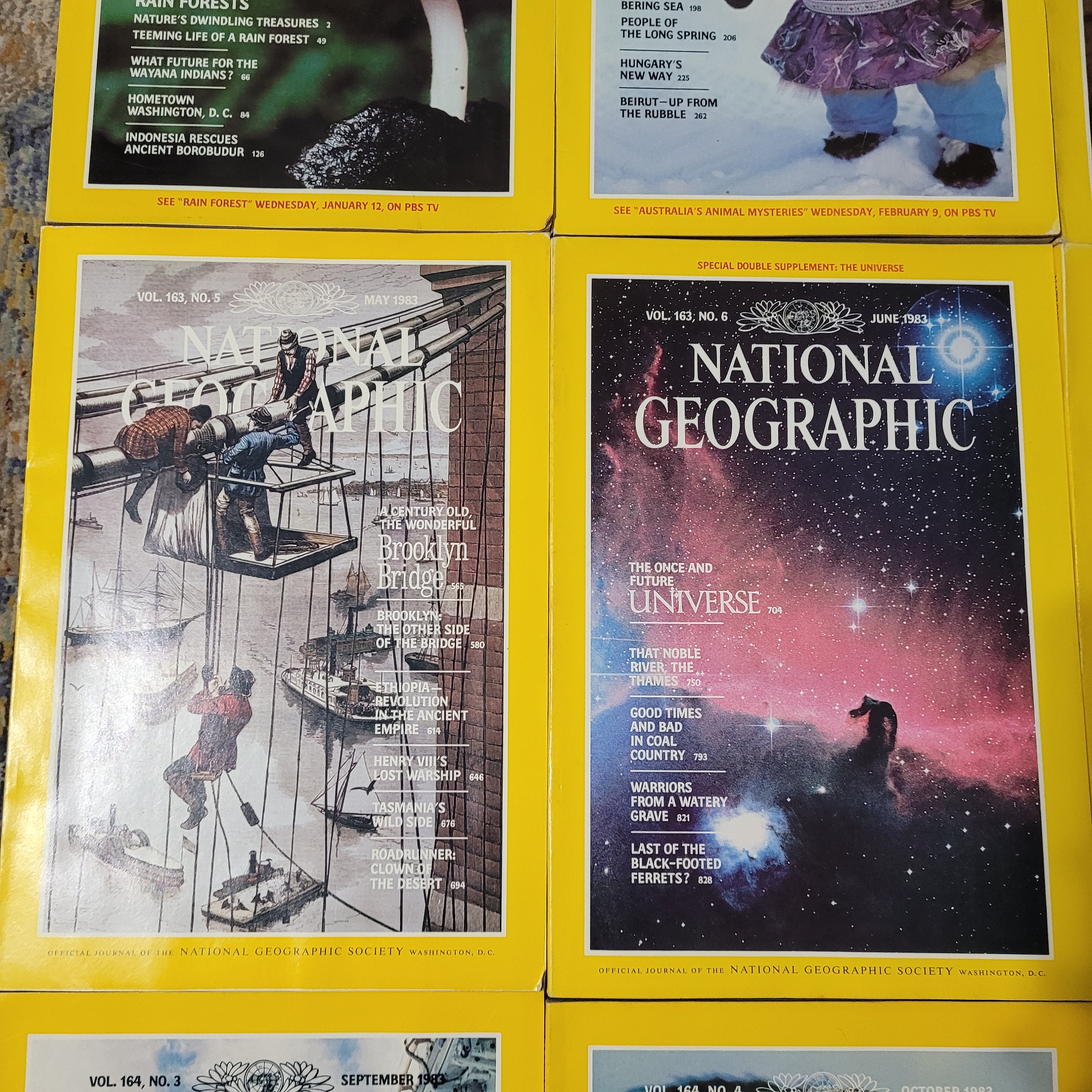 1983 National Geographic Magazine Collection Full Year 1980's Vintage Nat Geo Magazines ...