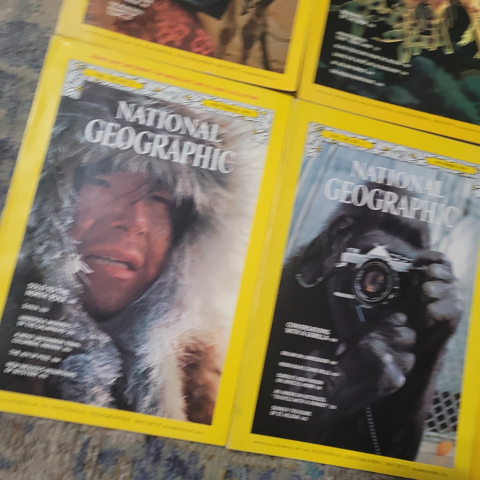 1978 National Geographic Magazine Collection, Complete Year Set of 12 Vintage Nat Geo Magazines ...