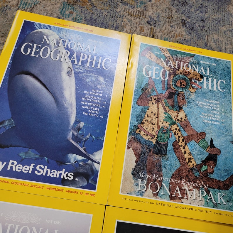 1995 National Geographic Magazine Collection Full Year 1990's Vintage ...