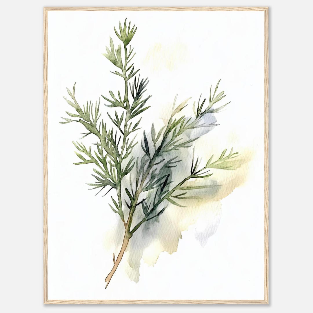 Dill Watercolor Print Dill Herb Wall Art Print Green Herbs Botanical ...