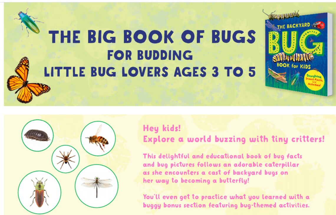 Backyard Bug Book for Kids: Insect Facts and Activities - Paperback - Etsy