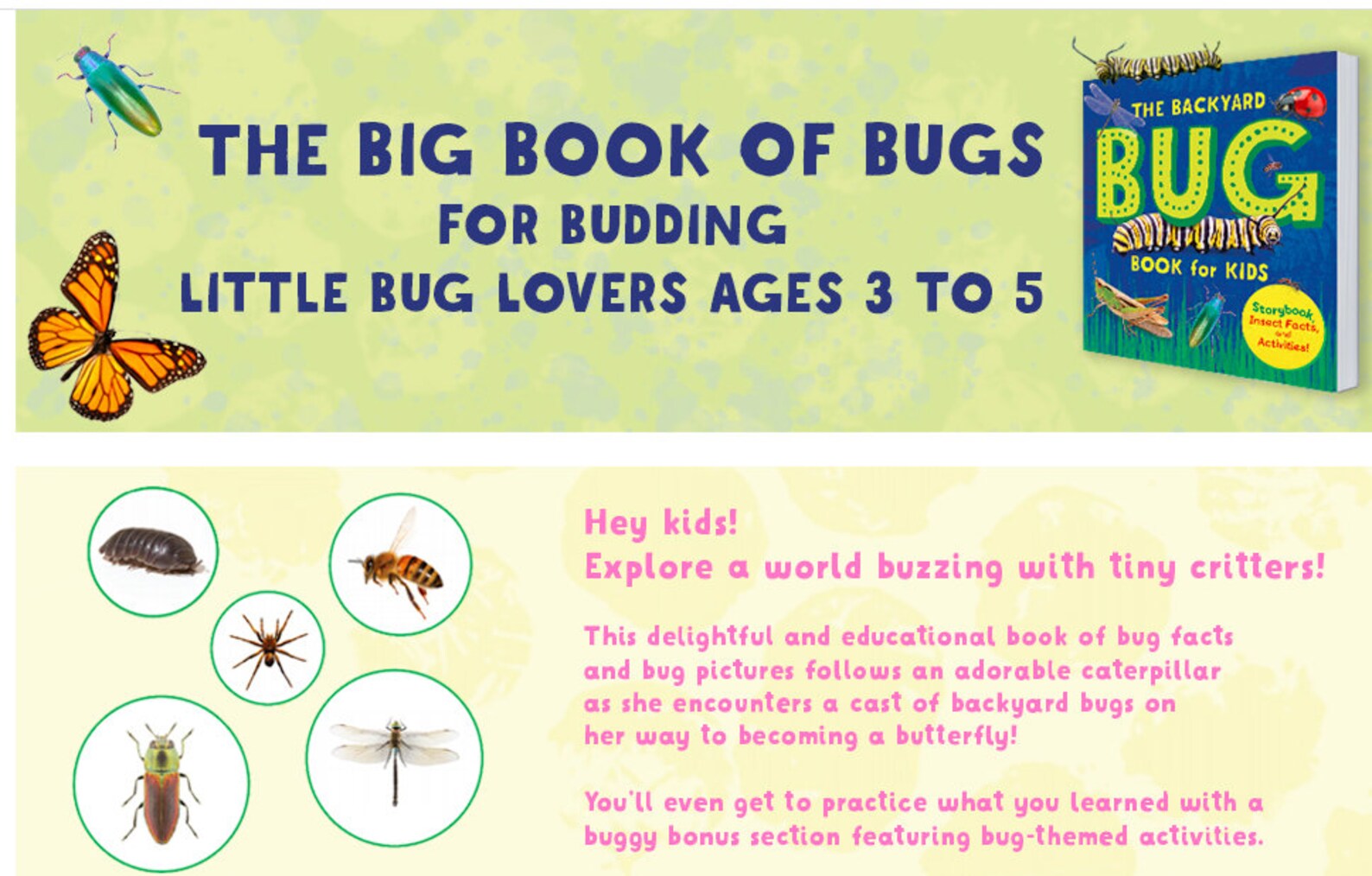 Backyard Bug Book for Kids: Insect Facts and Activities - Paperback - Etsy
