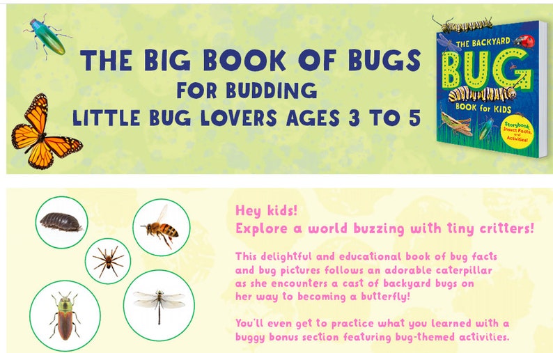 Backyard Bug Book for Kids: Insect Facts and Activities - Paperback - Etsy