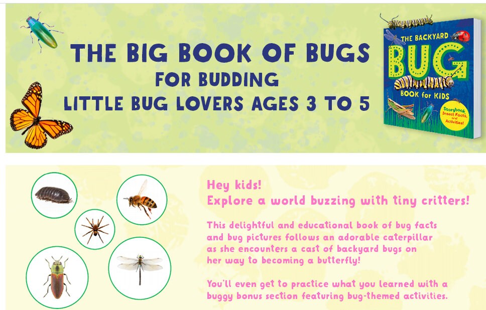 Backyard Bug Book for Kids: Insect Facts and Activities - Paperback - Etsy