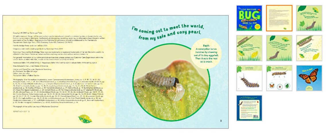 Backyard Bug Book for Kids: Insect Facts and Activities - Paperback - Etsy